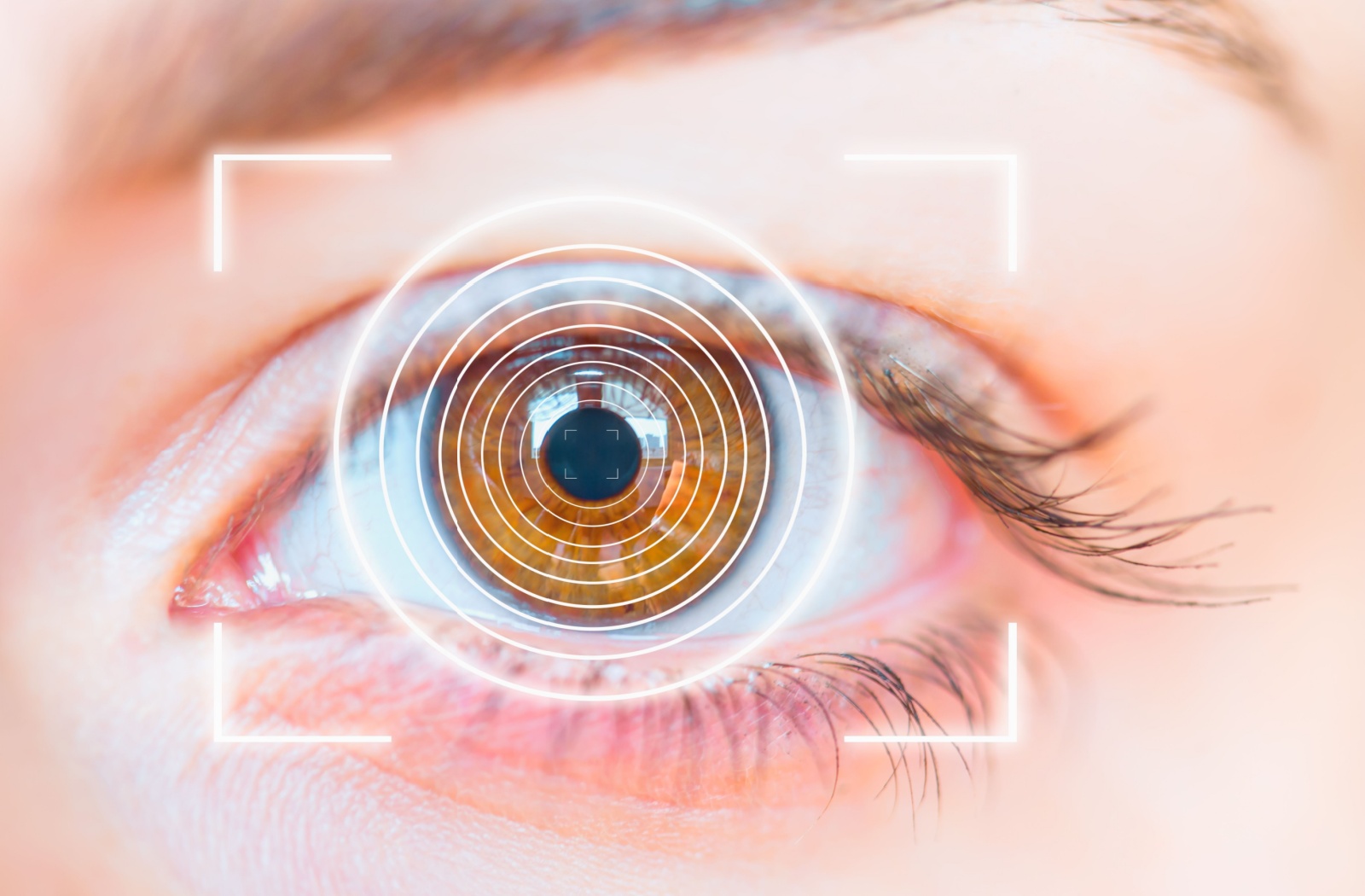 What Diseases Can Be Detected in an Eye Exam?